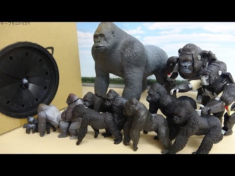 Special Gorilla Festival Various Type on the Stage! Wild and Machine Gorilla Toys