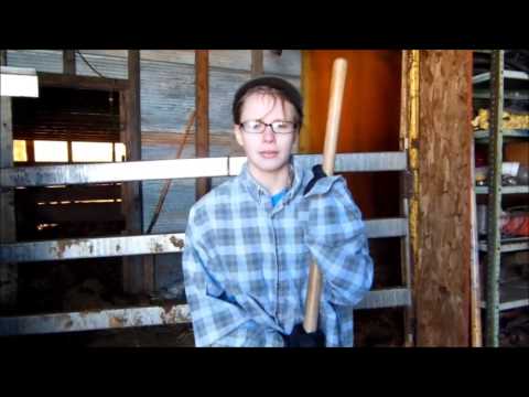 The Homestead Act: and it's effects