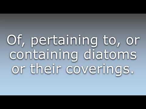 What does Diatomaceous mean?