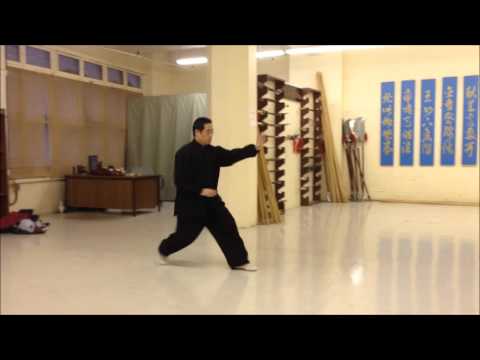 Xing Yi--Pao Quan(Fire Fist) in Chinese