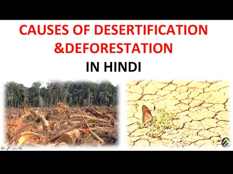 4 1 CAUSES OF DESERTIFICATION | CAUSES OF DEFORESTATION | IN HINDI #UPSC # IAS