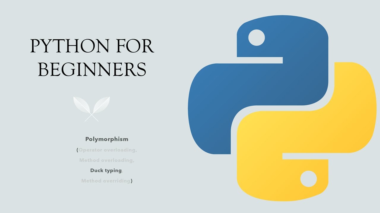 #23 Python for Beginners: Polymorphism - Duck Typing in Python