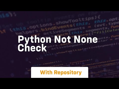 python not none check