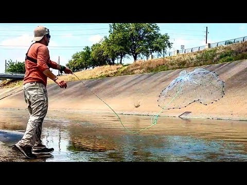 Cast Netting In the Middle of the City!