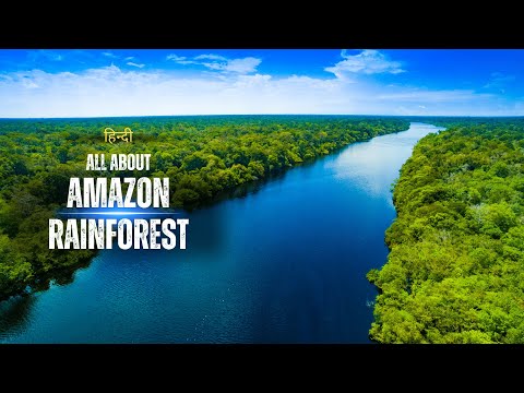 All About Amazon Rainforest – [Hindi] – Quick Support