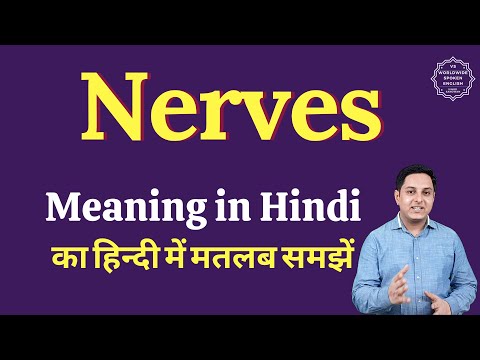 Nerves meaning in Hindi | Nerves ka matlab kya hota hai | English vocabulary words