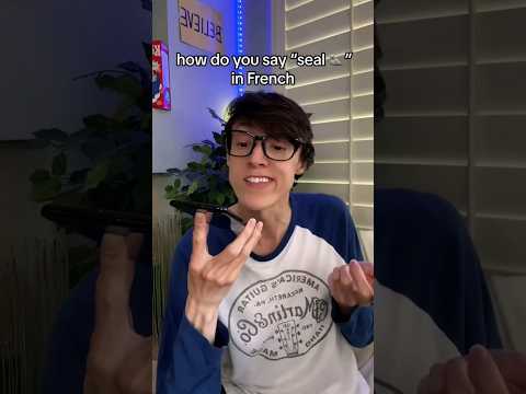 How do you say Seal in French? 🦭 #reactionshorts #memeshorts #funnyshortvideos