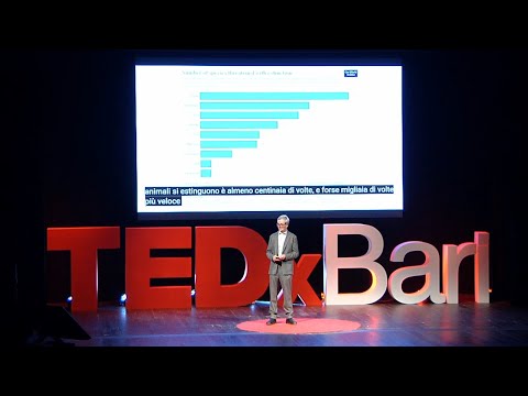 What is a bestiary for? | Caspar Henderson | TEDxBari