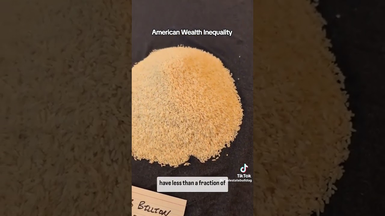 Wealthy Inequality Explanation using rice grains. Shock Level Max