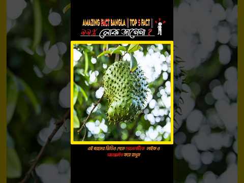 Amazing Facts About Food |✨🍇|Facts In Bangla | Health Tips | #foodfacts #shorts #amazingfacts