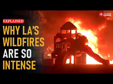 Los Angeles Wildfires: Why Are Hollywood Hills Burning? ‘Santa Ana’ Winds Explained