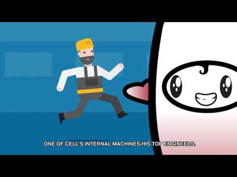 What is Mitochondria and How it Works? | Mitochondria in Biology