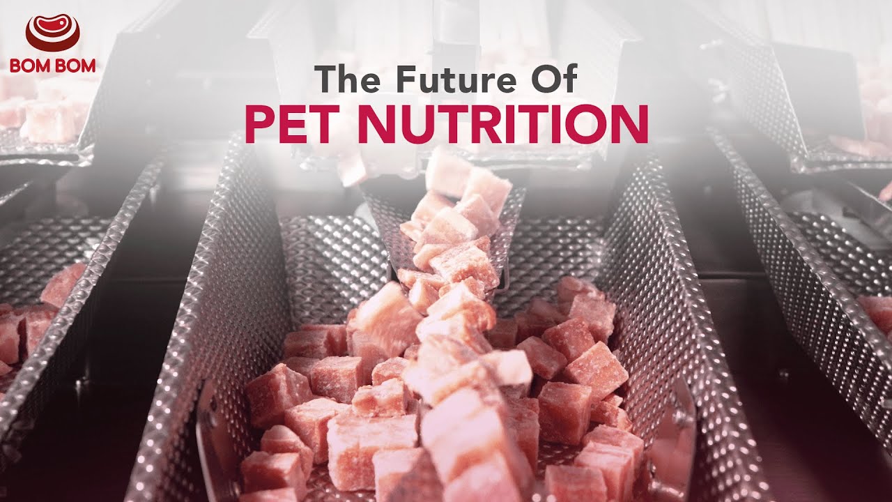 BOM BOM | The Future Of Pet Nutrition