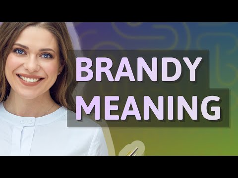 Brandy | meaning of Brandy