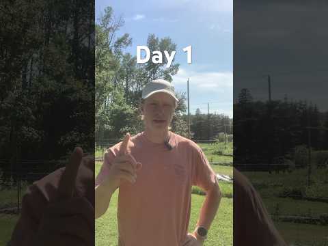 Day 1 of Training for the Sinister 7 50 Mile Race #running #ultramarathon #mountain