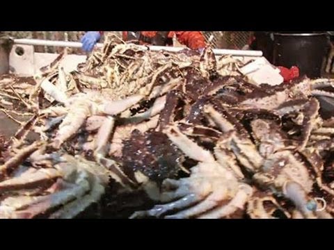 Gallery – Captain Keith Colburn | FV Wizard