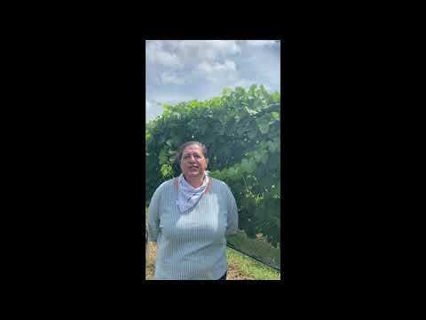 Benedicte's Testimonial on Excellence B-Nature