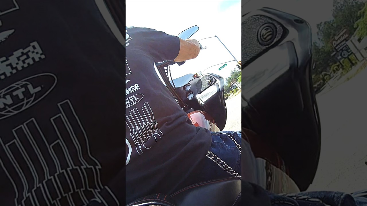 Road Gliding camera mounted on sissy bar #harley #motorcycle #shorts