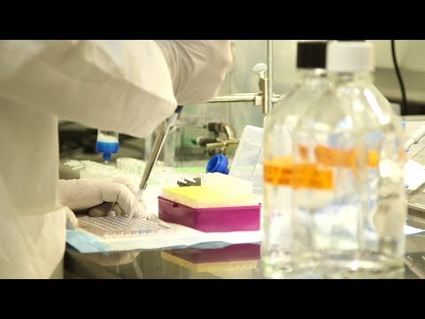 About Us: Cell Signaling Technology (CST)