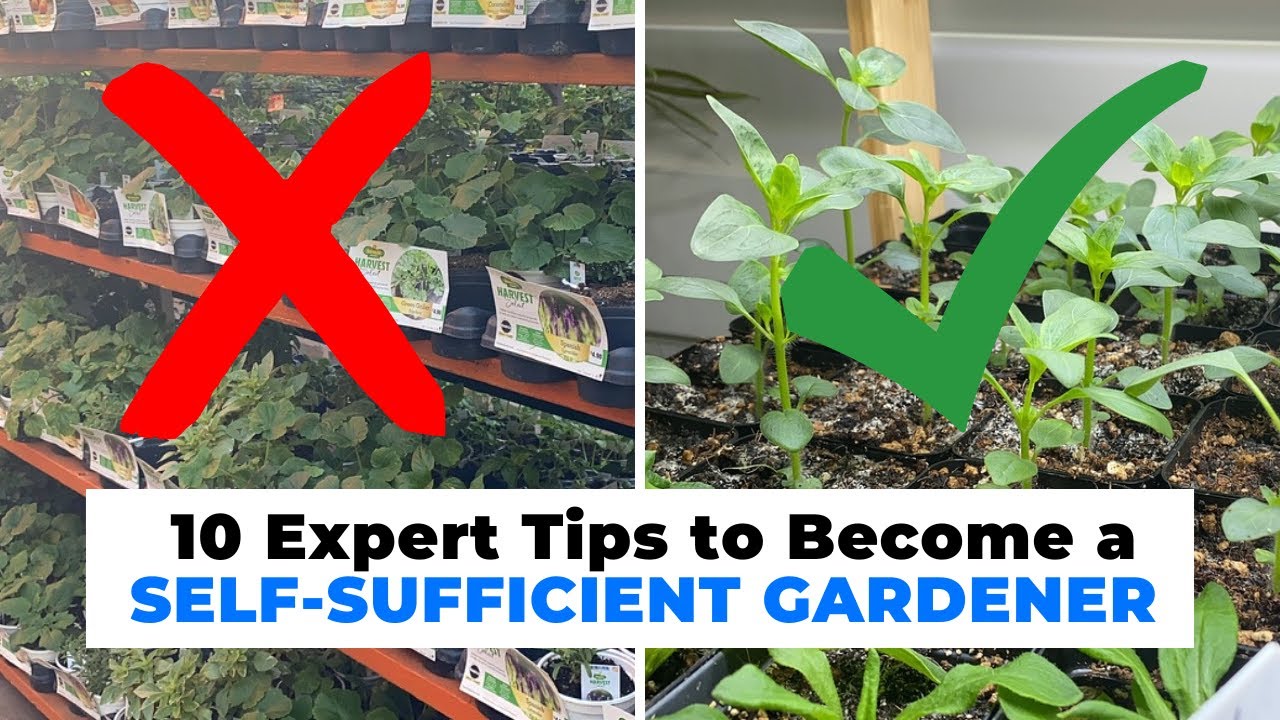 10 Expert Tips to Become a SELF-SUFFICIENT GARDENER