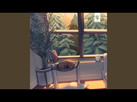a shady place