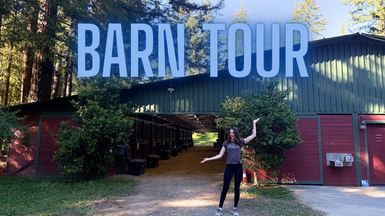 Barn Tour of Our New Barn!