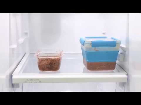 Whirlpool Refrigerators at Southwest Appliance