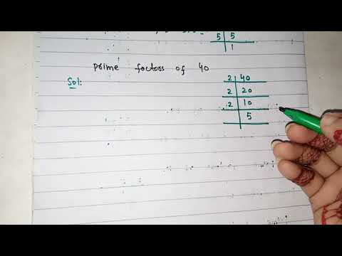 Prime Factors of 40 | Prime Factorization