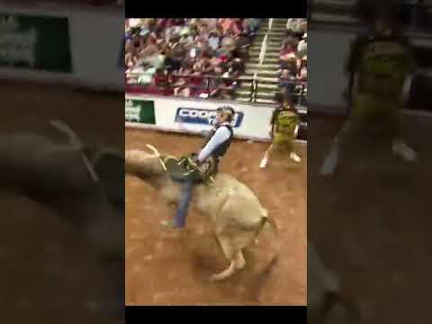 Life of a PBR bucking bull be like #bullriding #athletes #marchmadness #pbr #livinglife @Cord McCoy