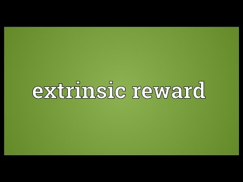 Extrinsic reward Meaning