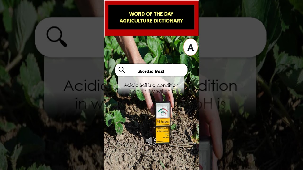 Acidic Soil definition  #agriculture #soilscience