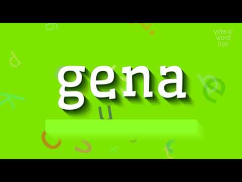 How to say "gena"! (High Quality Voices)