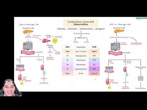 Diabetes Mellitus Clinical Medicine