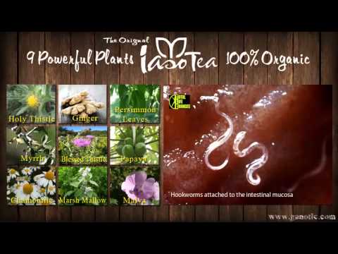 Iaso Tea Ingredients Presentation, Total Life Changes