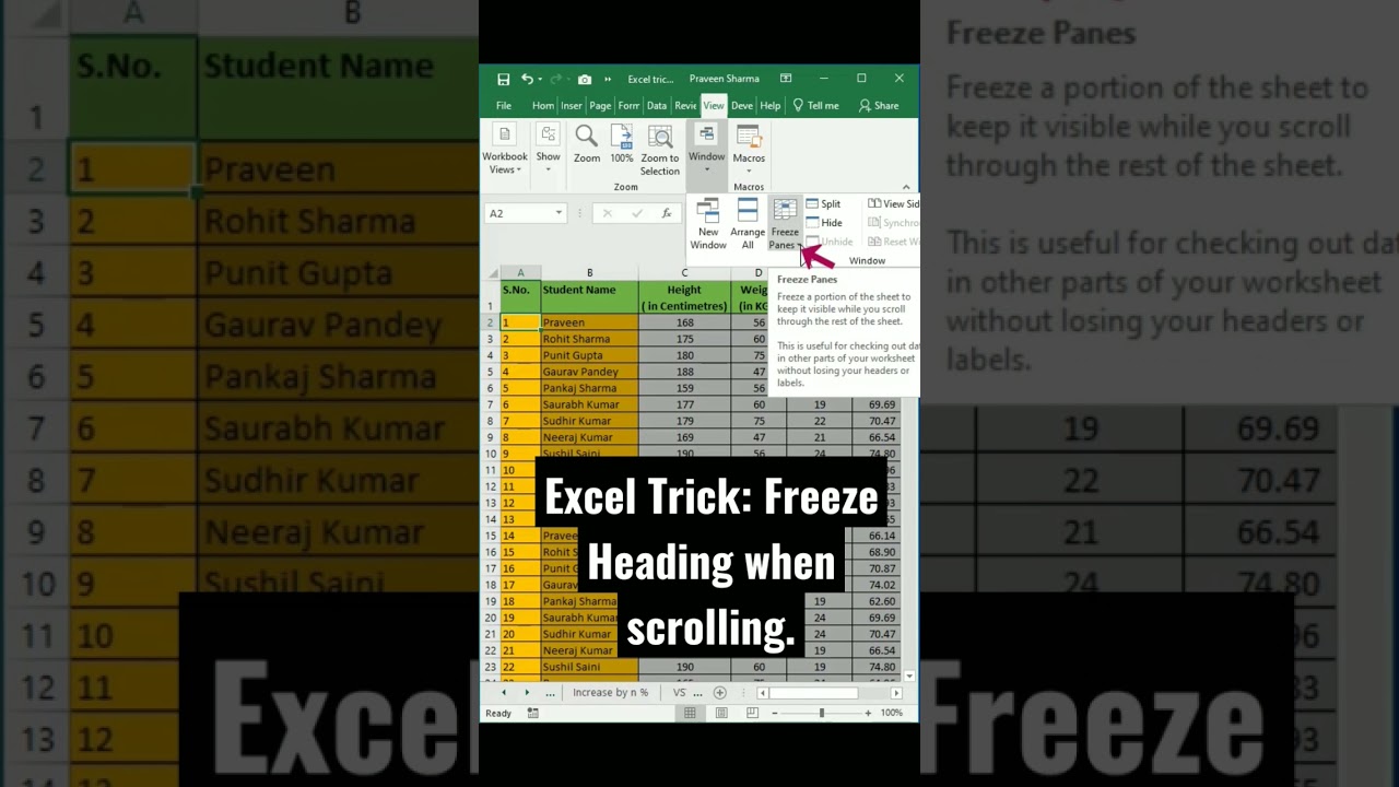 Excel Trick: Freeze Heading when scrolling.
