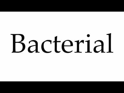 How to Pronounce Bacterial