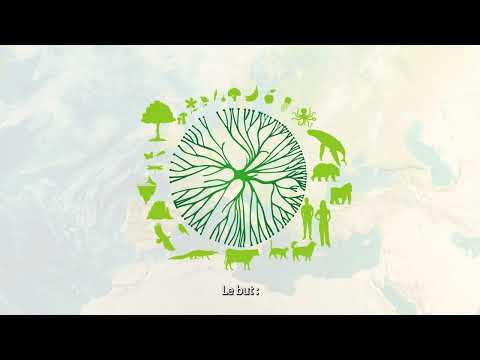 Assemblee de la Terre France 20 juin 1