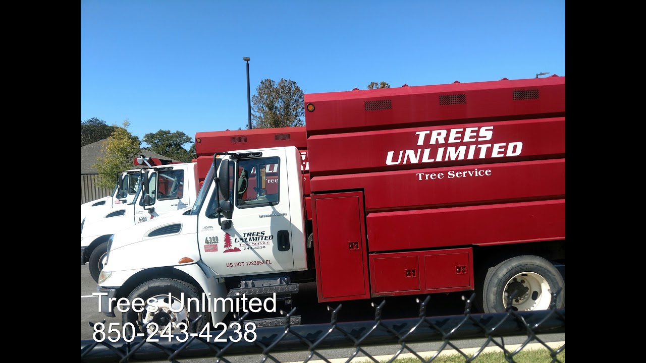 Fort Walton Beach, Destin & Niceville Tree Service and Removal - 850-243-4238
