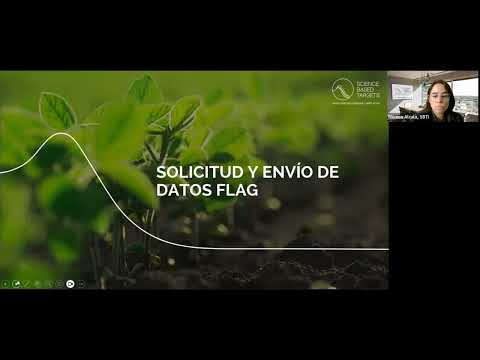 Shining a light on the FLAG target setting process webinar - Spanish translation