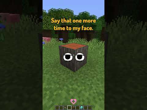 Types of Blocks in Minecraft