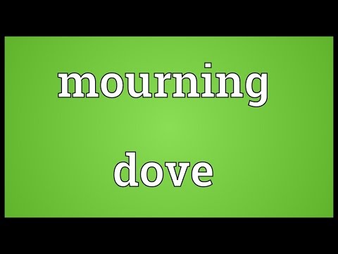 Mourning dove Meaning