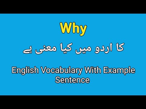 Why meaning in Urdu | why meaning in Urdu/ Hindi | why meaning with example sentence