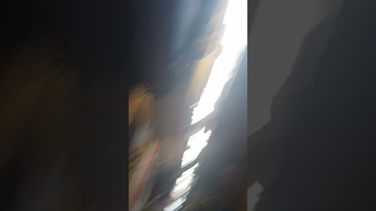 Conosi al conejo famoso de un mi amigogogogo