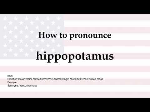 How to pronounce 'hippopotamus' + meaning