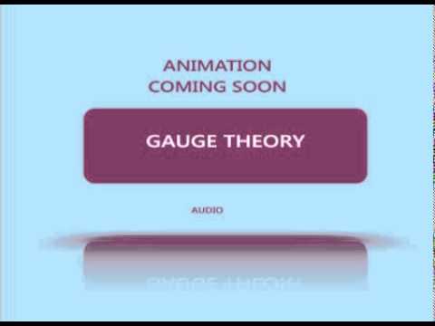 gauge theory