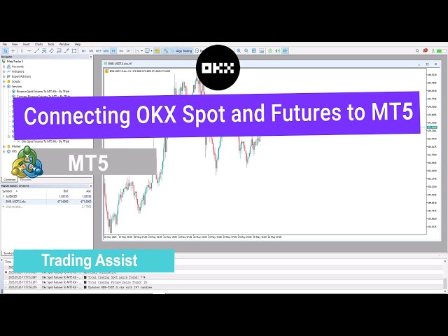 Connecting OKX Spot and Futures to MetaTrader 5: A Comprehensive Guide ...