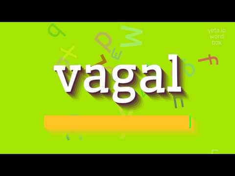 VAGAL - How to say Vagal?