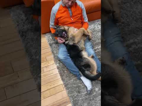 Quentin x Yuri - 5 Months Female