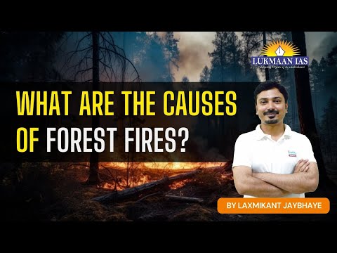 What are the causes of forest fires? | By Laxmikant Jaybhaye | Lukmaan IAS