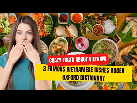 Amazing Facts About Vietnam: 3 Famous Vietnamese Dishes Added Oxford Dictionary